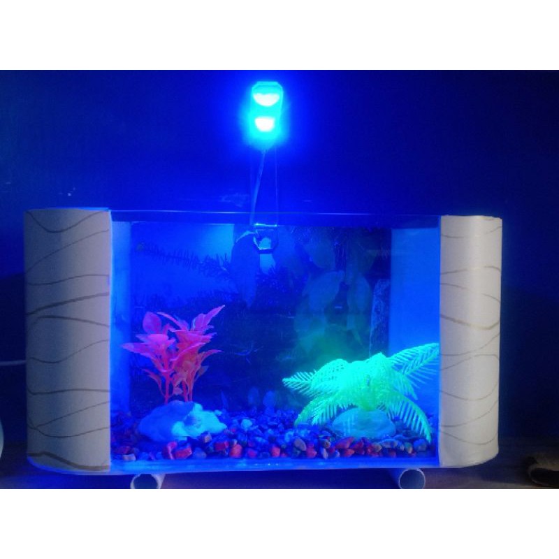 Jual Aquarium kecil / minimalis model A(30x10x17) tanpa filter | Shopee ...
