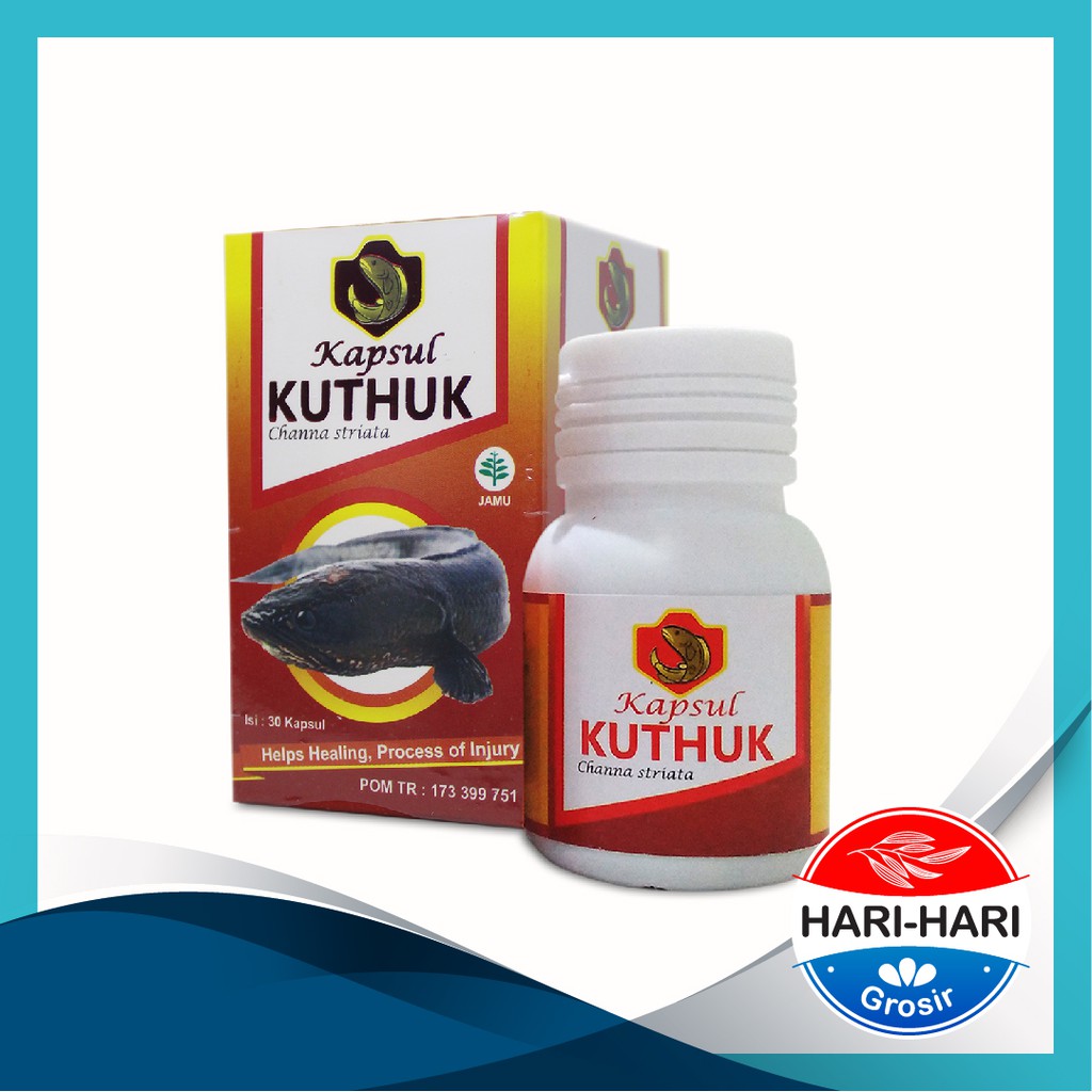 Jual Kapsul Kutuk Ikan Gabus Premium Obat Penyembuh Luka Pasca Operasi Asli 100% Original ...
