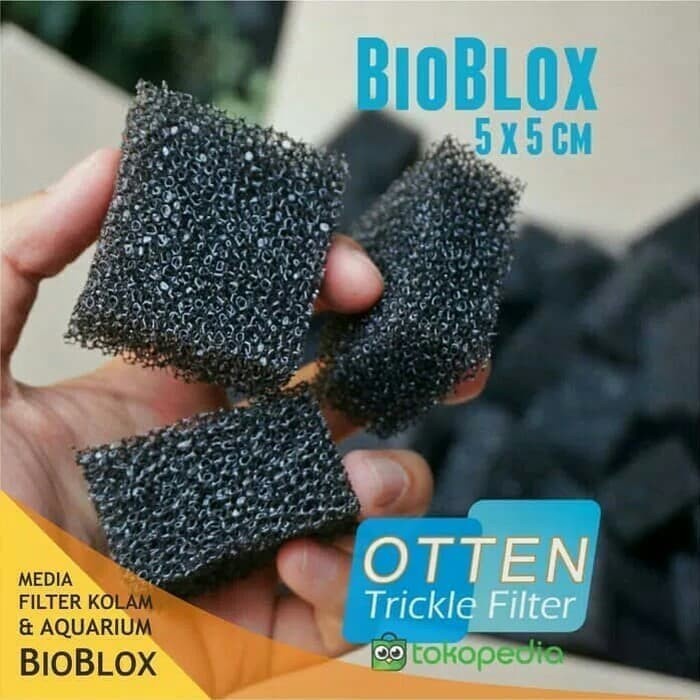 Jual BIOBLOX 5X5 CM BIO BLOCK BUSA FILTER MEDIA FILTER AQUARIUM BUSA ...