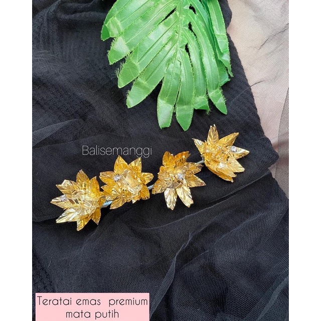 Jual teratai emas premium mata putih semanggi bali | Shopee Indonesia