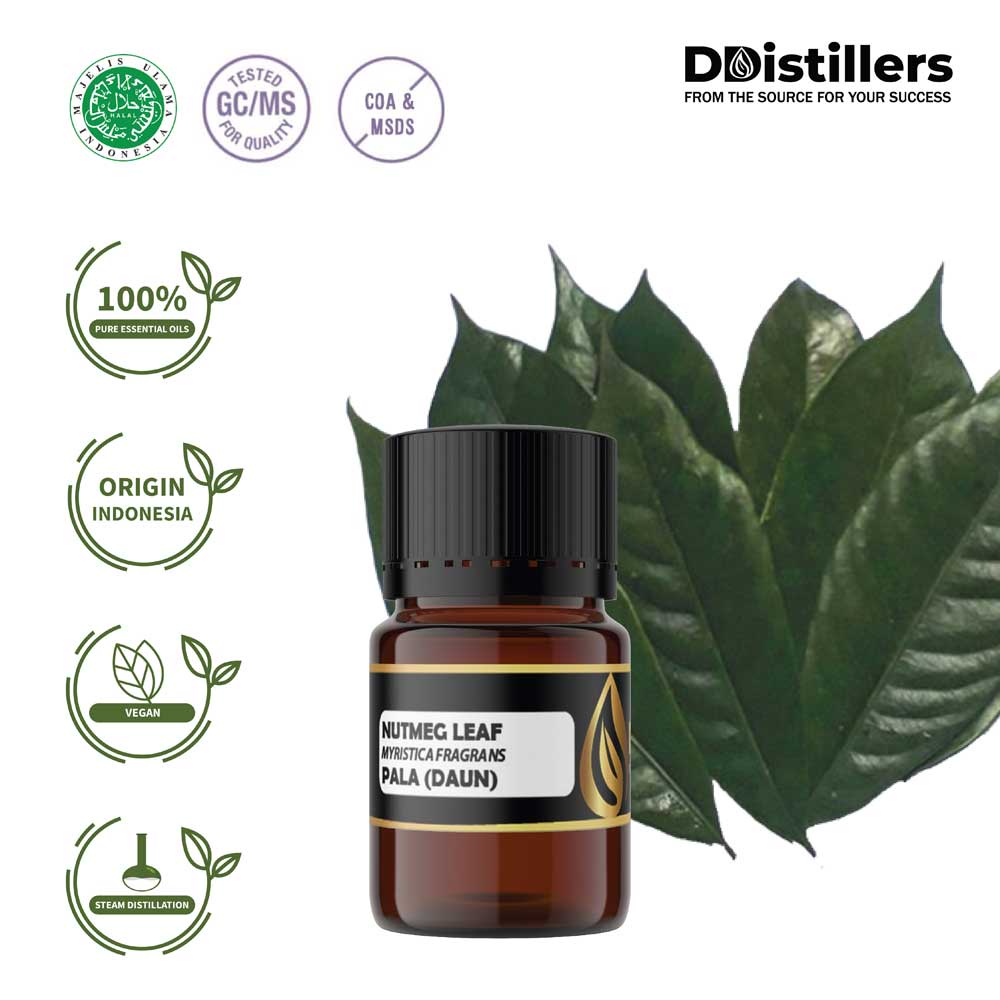 Jual Nutmeg Leaf / Daun Pala Essential Oil Pure 100%, 2-10ML GS | Shopee Indonesia
