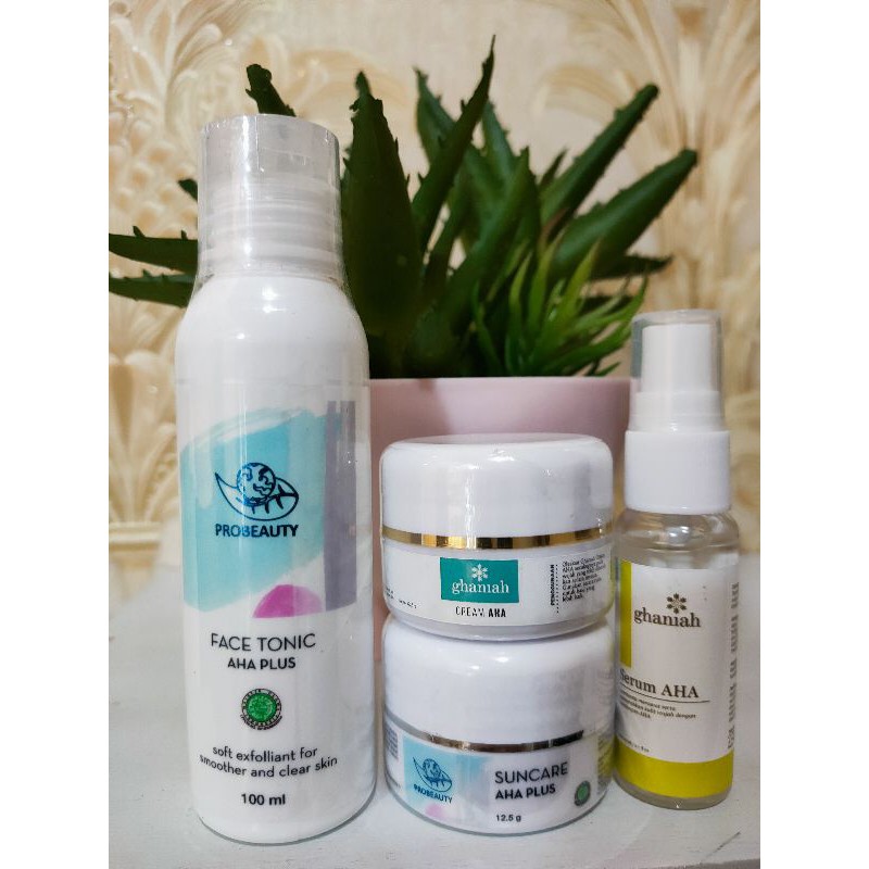 Jual PROBEAUTY PAKET HEMAT AHA (NO SABUN) | Shopee Indonesia
