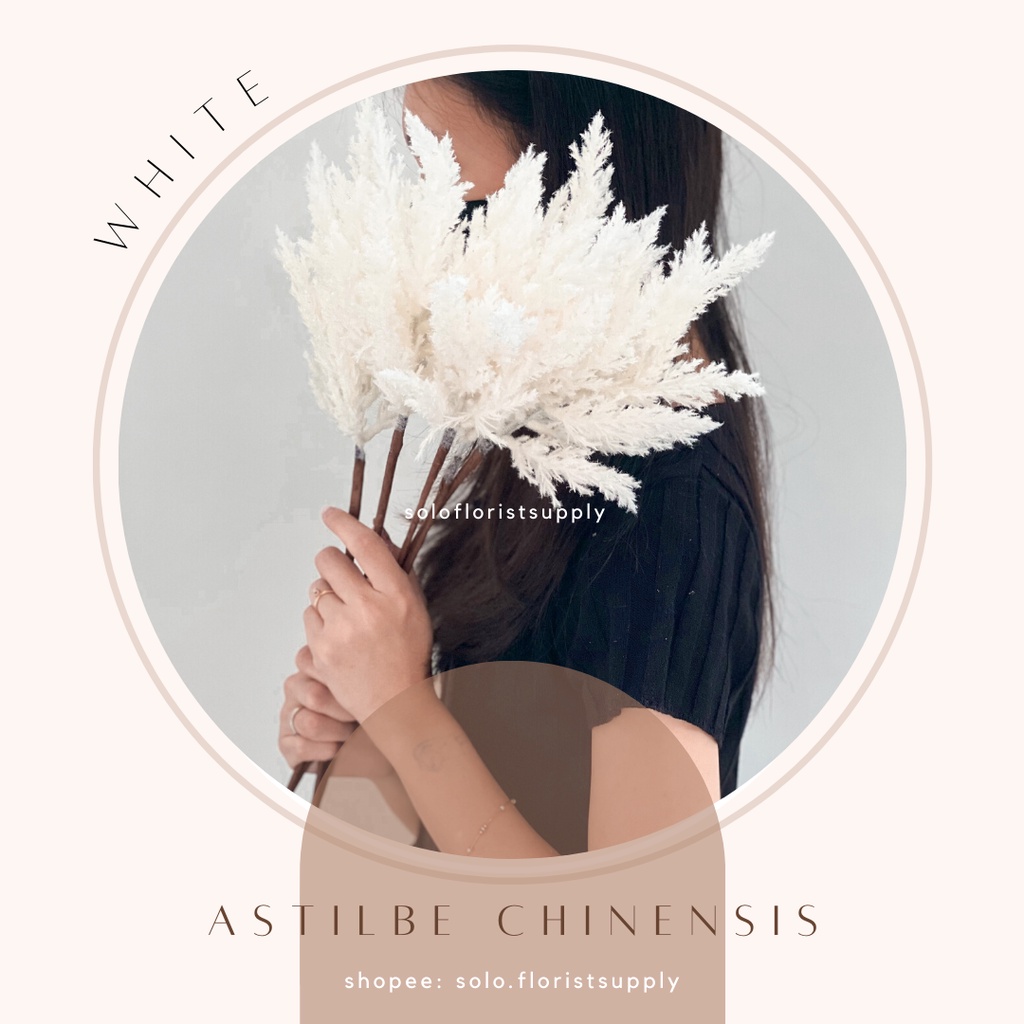 Jual ASTILBE CHINENSIS ARTIFICIAL Bunga Astilbe Tangkai Panjang ...