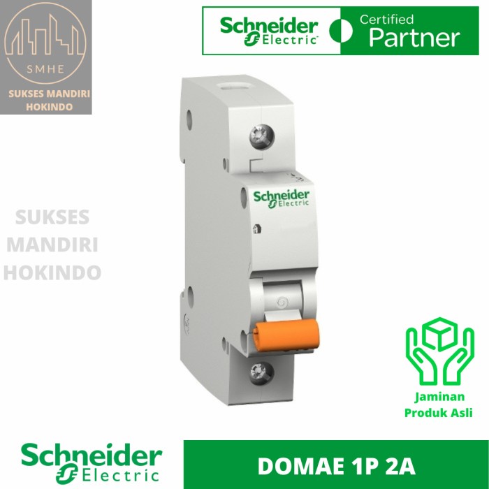 Jual Mcb 1P 2A 1 Phase 2 Ampere Original Sni Schneider Domae 1Pas ...