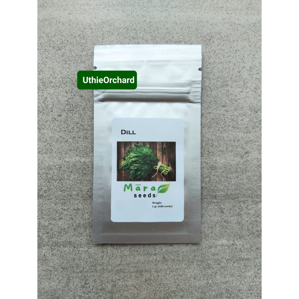 Jual Mara Seeds - Dill (Adas) (600 seeds) | Shopee Indonesia