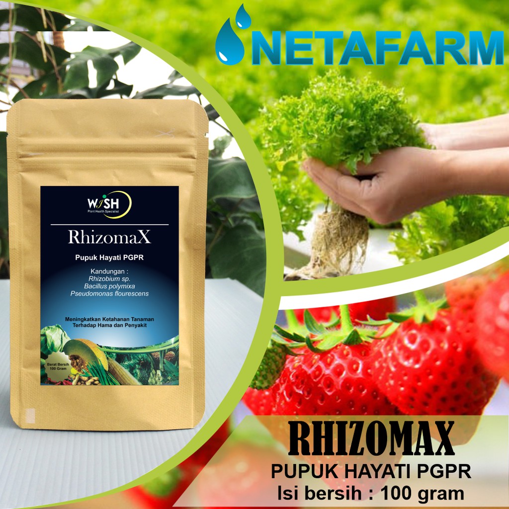 Jual Pupuk Organik Hayati PGPR Rhizobium RHIZOMAX WISH - 100 gram ...