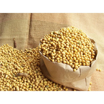 Jual Kacang kedelai Goreng 250 Gram(Snack curah) | Shopee Indonesia