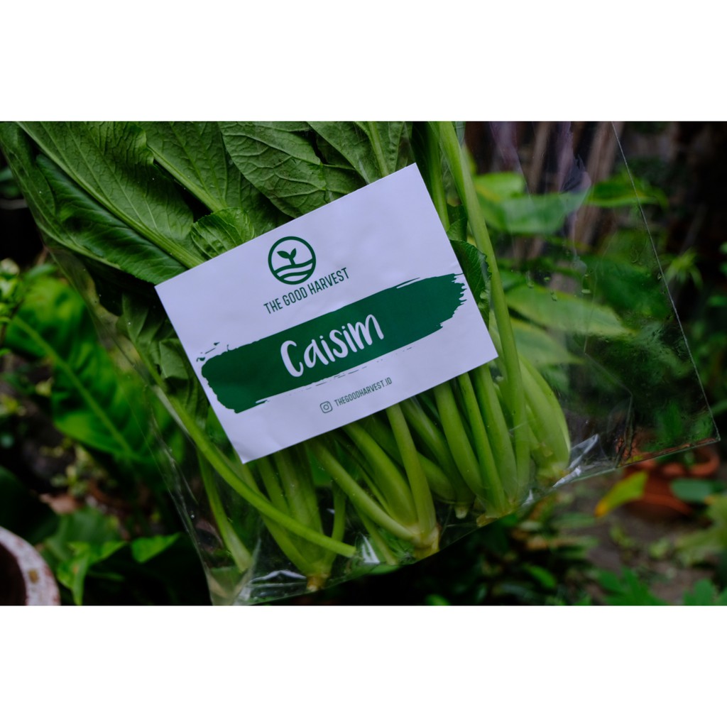 Jual Sayur Caisim Hidroponik - Caisim Vegetables Hydroponics 250G ...