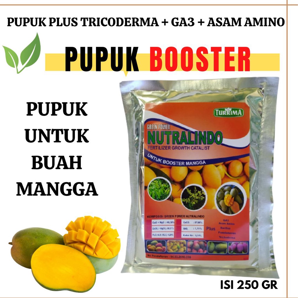 Jual Booster Mangga Pupuk Organik, Pupuk Mangga Masa Pertumbuhan Plus Asam Amino | Shopee Indonesia
