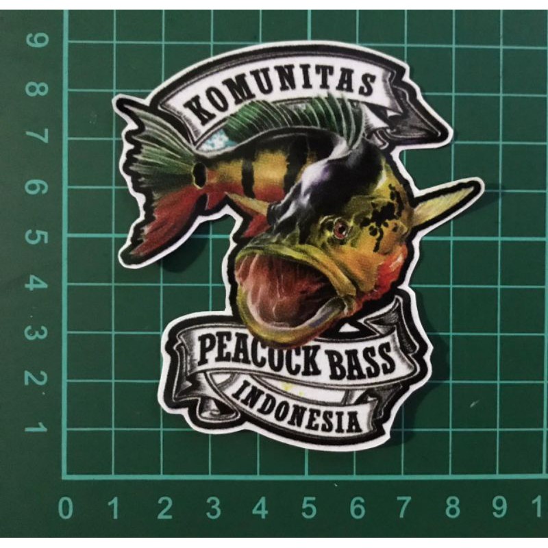 Jual STIKER AQUARIUM IKAN PREDATOR | Shopee Indonesia