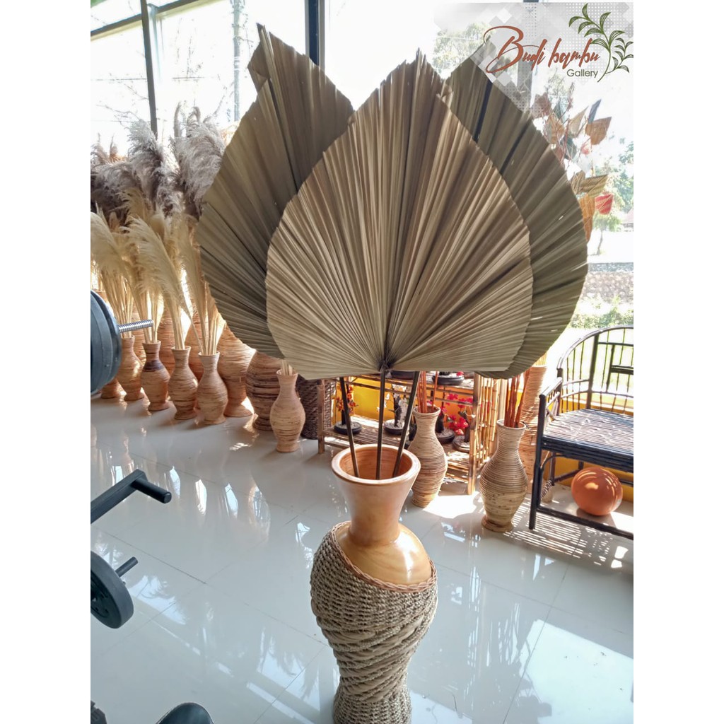 Jual DAUN PALEM KERING / HIASAN DAUN PALEM / RUSTIC UKURAN L MURAH ...