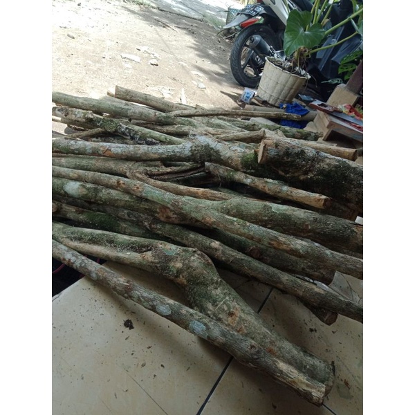 Jual kayu kopi utuh 100 cm media tanam anggrek | Shopee Indonesia
