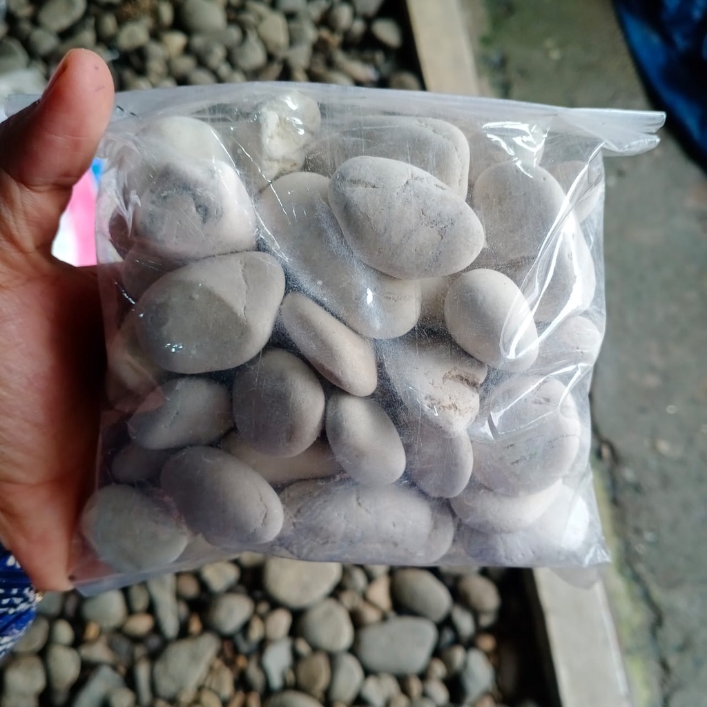 Jual BATU KUPANG - 800GR- BATU HIASAN TANAMAN | Shopee Indonesia