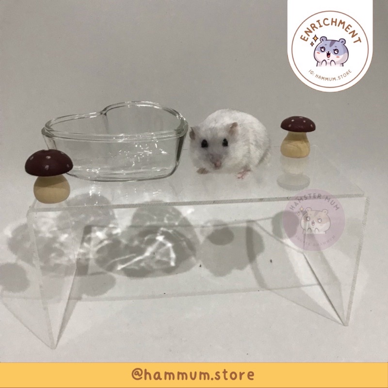 Jual Platform Hamster Akrilik Tekuk | Meja Hamster Tahan Air | Figure ...
