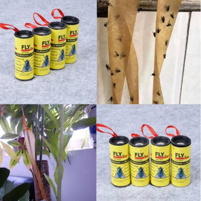 Jual Roll Strip perekat Jebakan Serangga Murah - Makassar | Shopee ...
