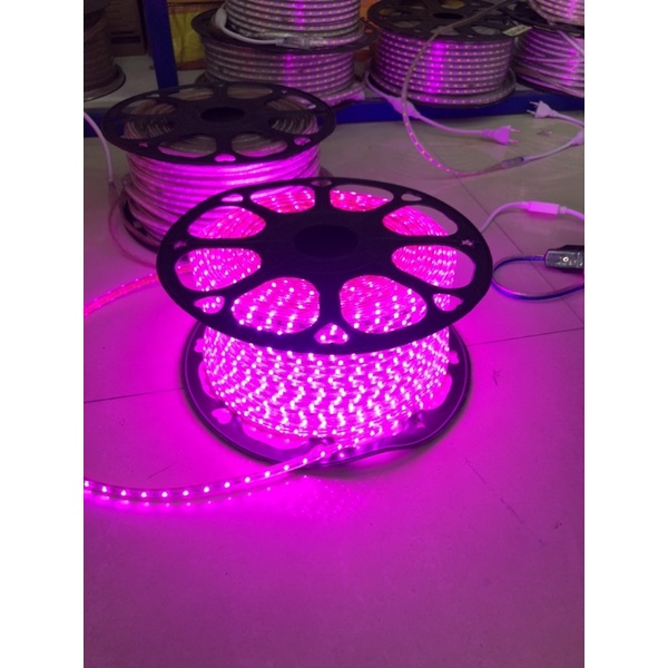 Jual Lampu Led Strip Meteran Volic VL-5050 220V Warna: Pink, Merah ...