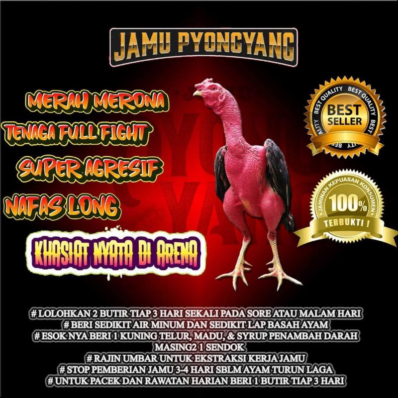 Jual JAMU AYAM ADUAN TERBAIK SUPER AGRESIF FULL POWER JAMU PYONGYANG ... Jual JAMU AYAM ADUAN TERBAIK SUPER AGRESIF FULL POWER JAMU PYONGYANG ...