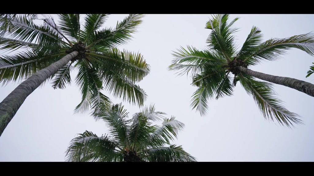 Jual Reel Shimano NASCI FC [2021] Power Handle | Spinning 500 1000 2500 ...