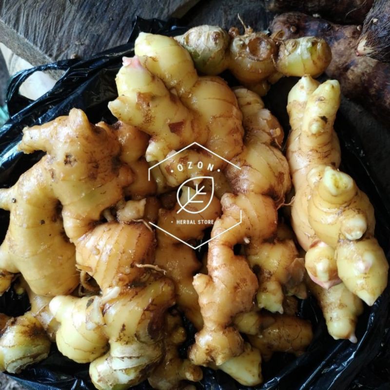 Jual Jahe Putih Jahe Gajah Putih Segar Kemasan 100gram | Shopee Indonesia