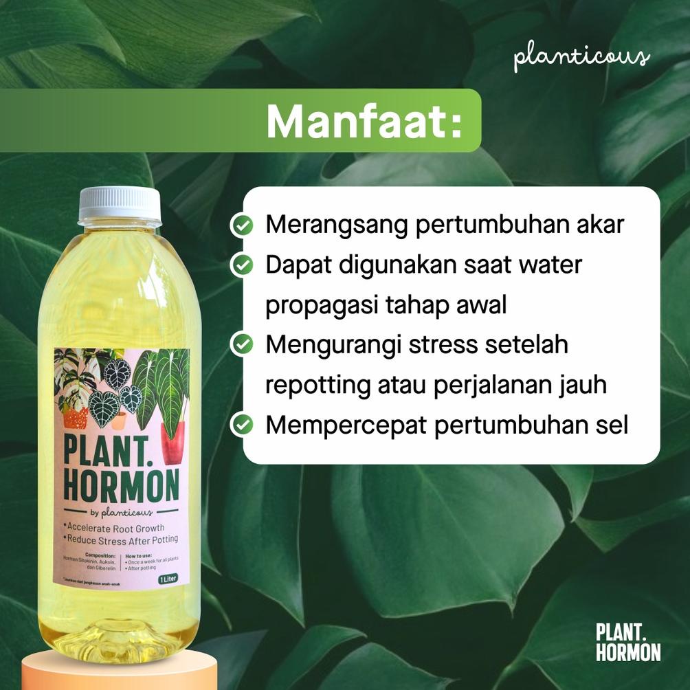 Jual Plant Hormon / Hormon Tanaman | Shopee Indonesia