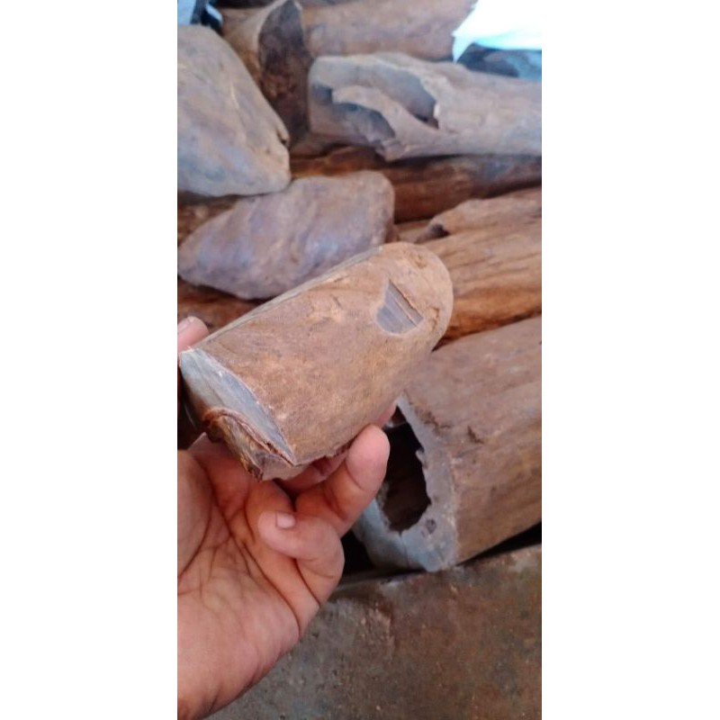Jual kayu gaharu kualitas super gread A | Shopee Indonesia