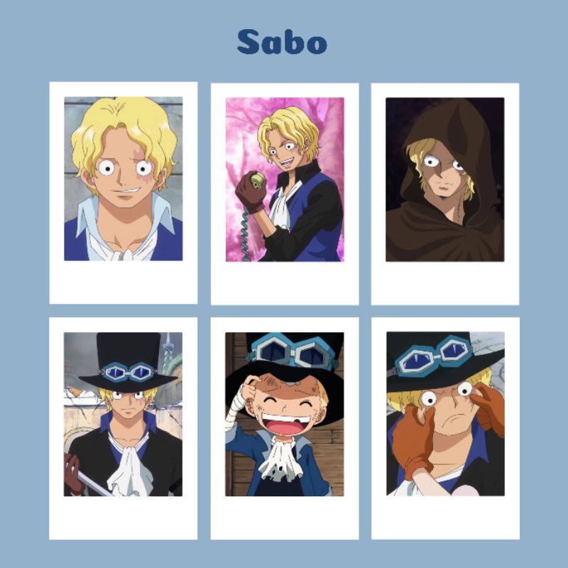 Jual Polaroid Anime One Piece Luffy Zoro Sanji Nami Nico Robin ace ...