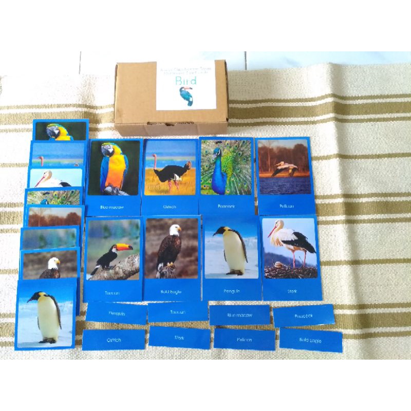 Jual NEW ANIMAL CLASSIFICATION SERIES - MONTESSORI 3 PART CARDS "BIRD ...