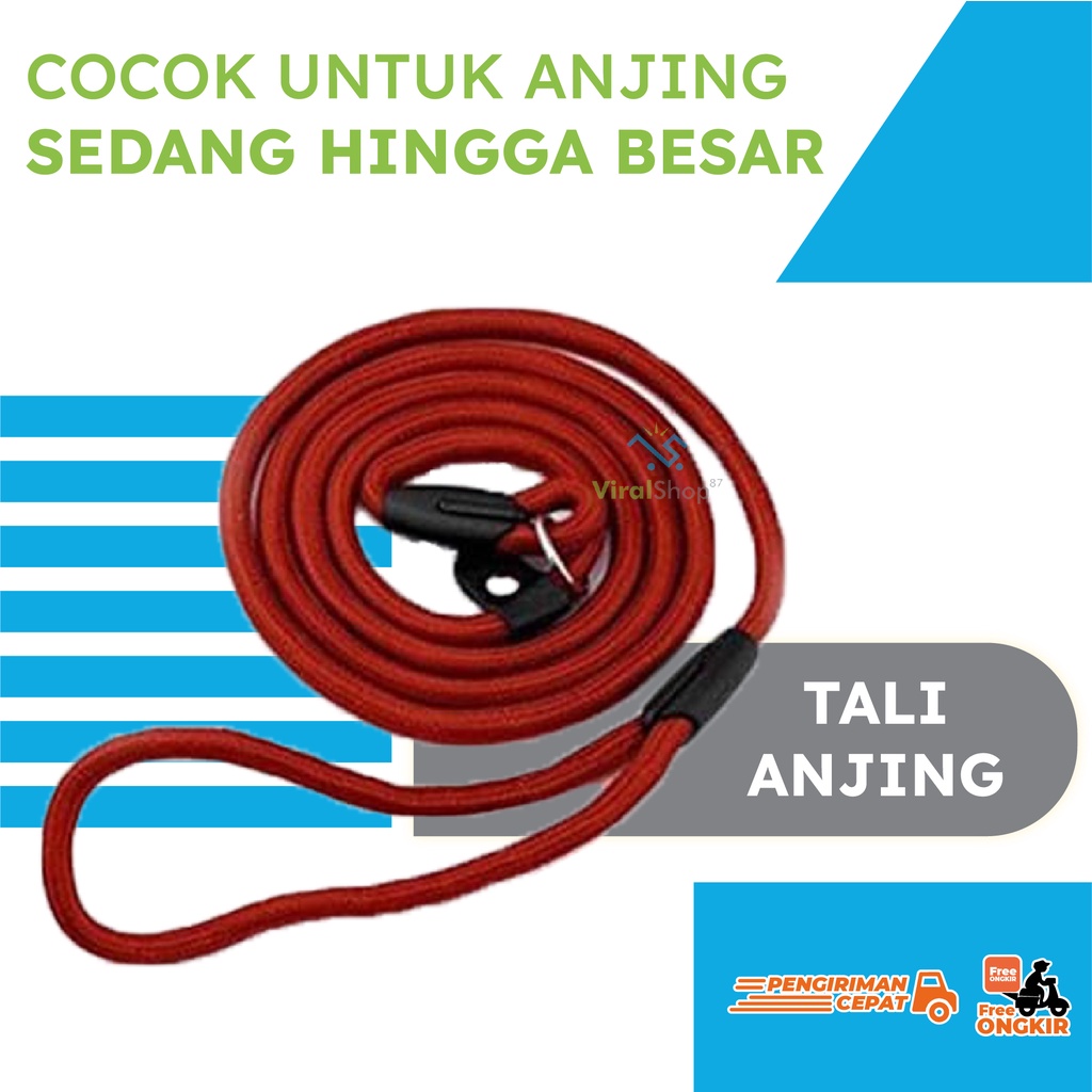 Jual BESAR Slip Lead Cesar Milan Tali Tuntun Anjing Nylon Dog Leash ...