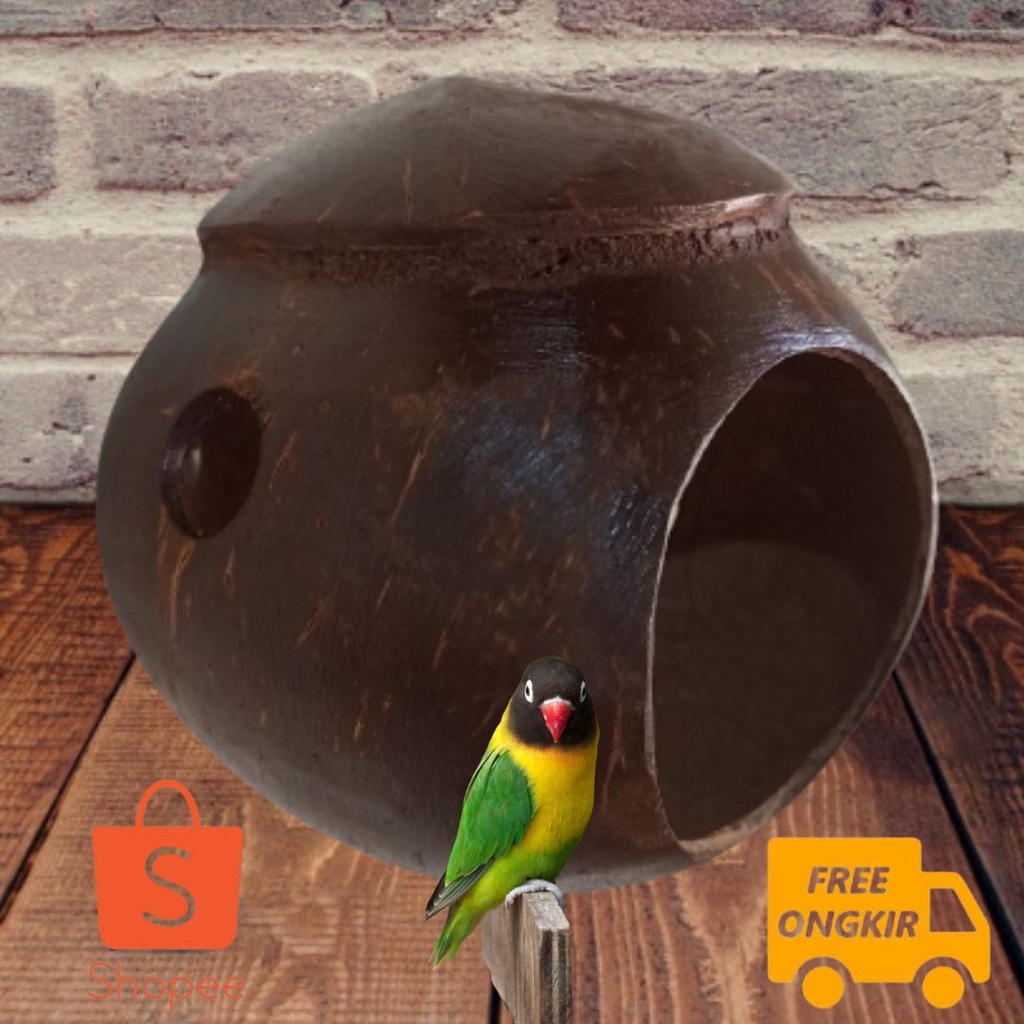 Jual GLODOK BURUNG RUMAH BURUNG BATOK KELAPA UNTUK TERNAK | Shopee ...