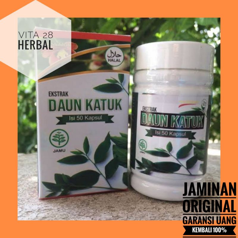 Jual KAPSUL EKSTRAK DAUN KATUK ASH SHIHAH 1 BOTOL ISI 60 KAPSUL MEMBANTU MEMPERLANCAR ASI DAN ...
