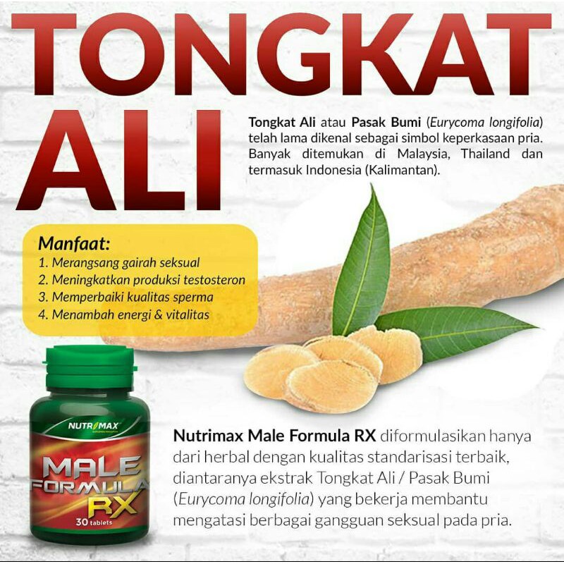 Jual male rx | Shopee Indonesia