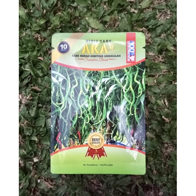 Jual Bibit cabe CMK AKAR 10gr 100% ORIGINAL | Shopee Indonesia