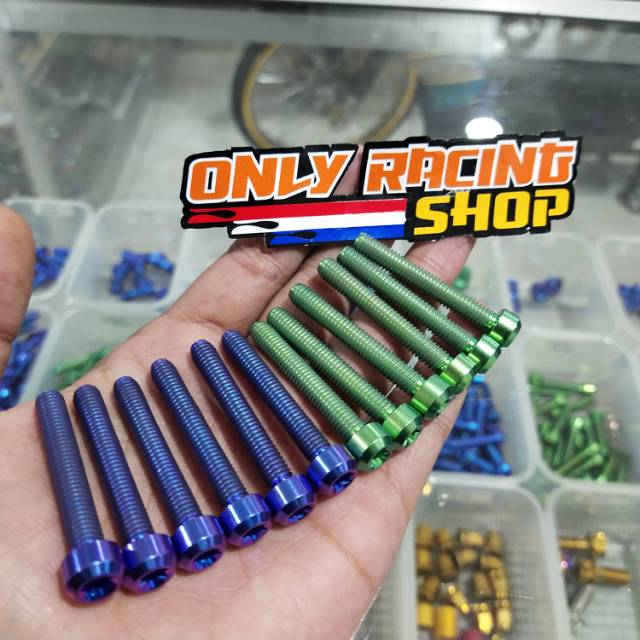 Jual BAUT ORIGINAL TITANIUM M6X40 DRAT 10 L4CM | Shopee Indonesia