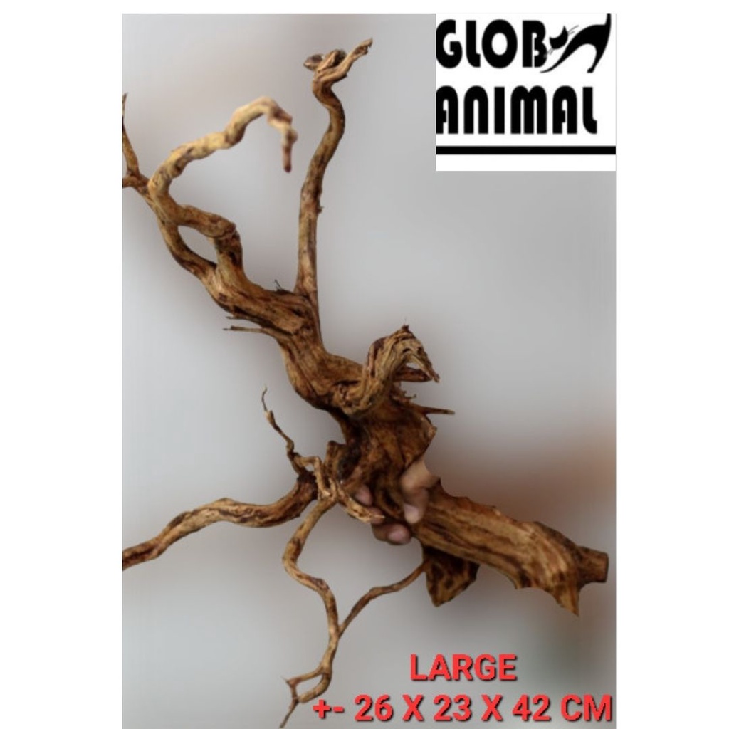 Jual AKAR RASAMALA LARGE kayu rasamala aquascape hiasan aquarium ...