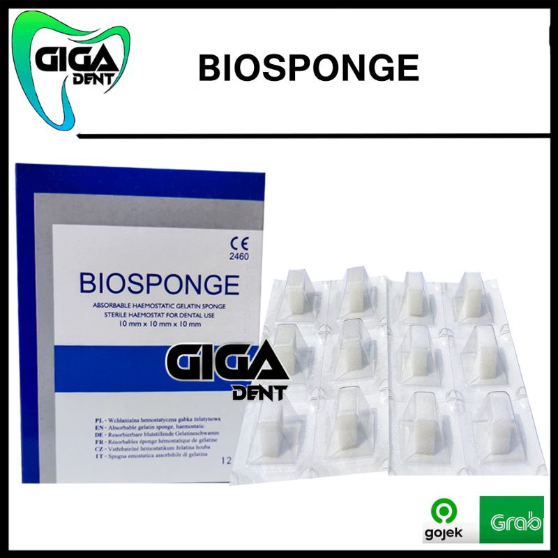 Jual BIOSPONGE / CURASPON / SURGISPON / SPONGOSTAN ( 12 pcs ) | Shopee ...