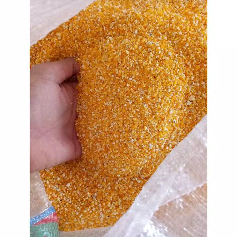 Jual Jagung giling pecah ecer pakan ternak ayam merpati kemasan 1kg ...