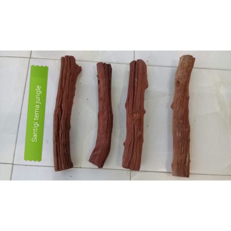 Jual kayu santigi lurus tema jungle | Shopee Indonesia