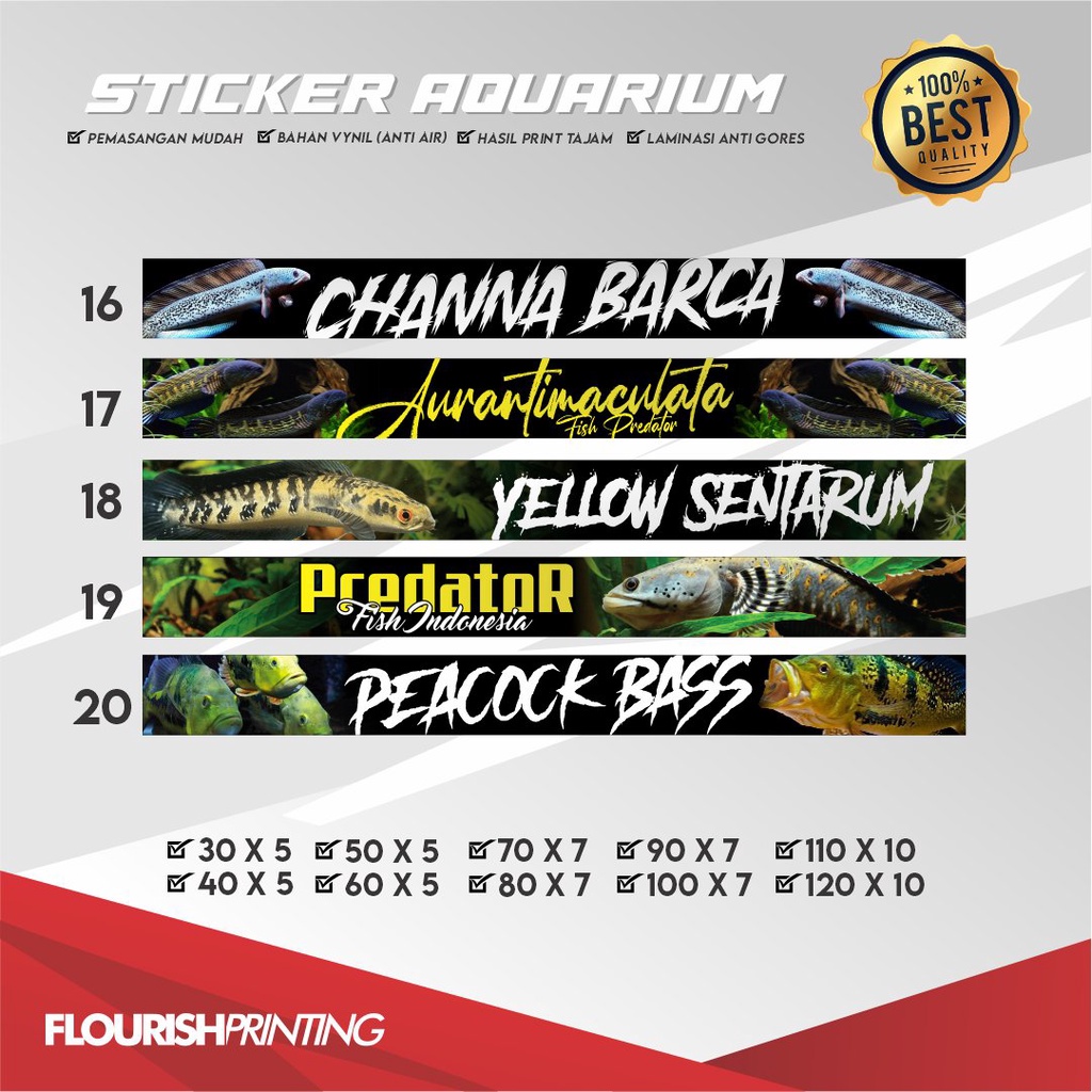 Jual STIKER/STICKER AQUARIUM PREDATOR CHANNA/PEACOCKBASS | Shopee Indonesia