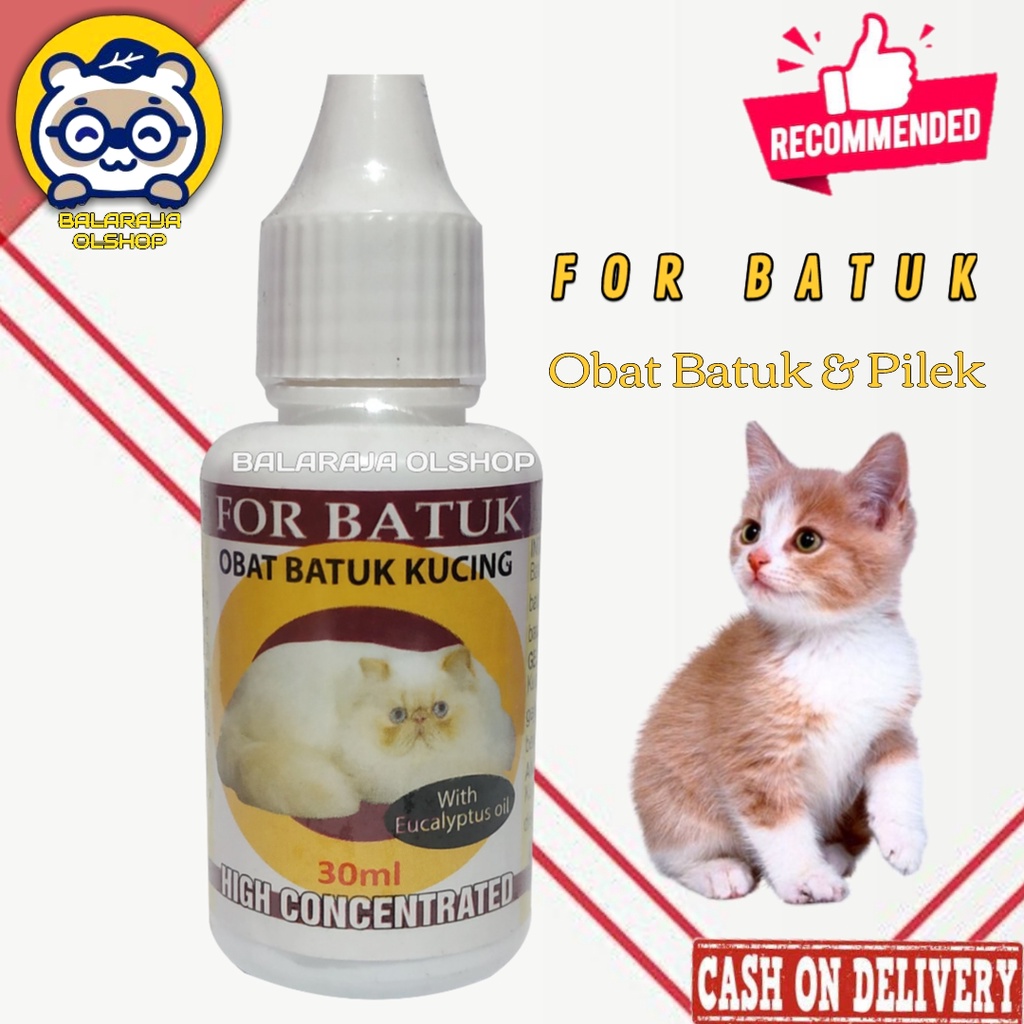 Jual OBAT BATUK KUCING FLU PILEK DAN GANGGUAN PERNAFASAN KUCING/KITTEN ...