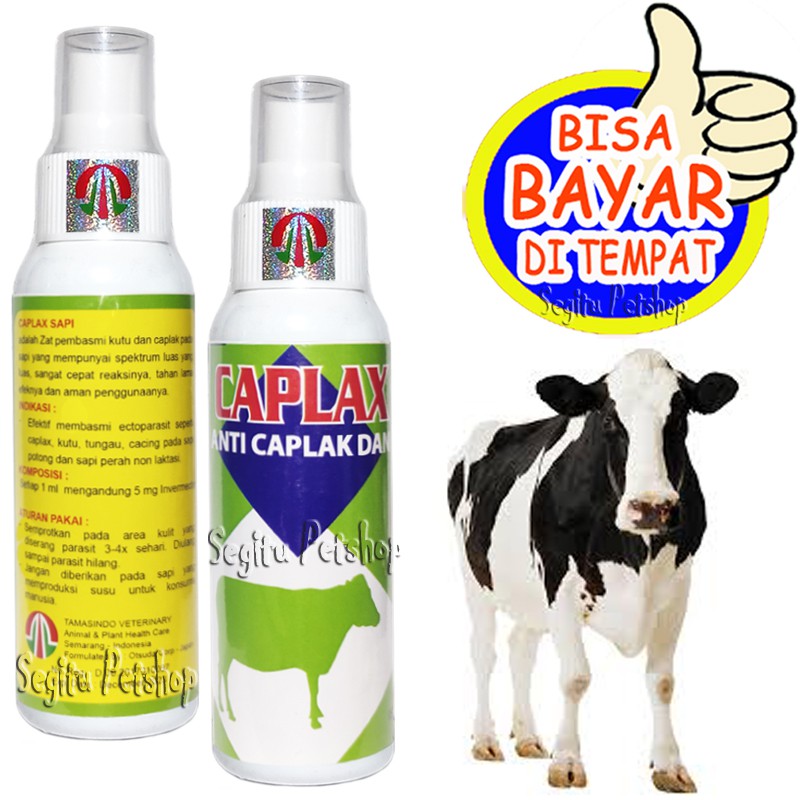 Jual OBAT KUTU SAPI KERBAU PEMBASMI PARASIT TUNGAU CAPLAX SAPI | Shopee ...