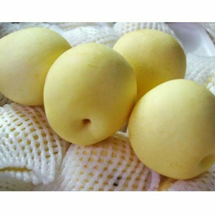 Jual Buah Pir / Pear 1kg | Shopee Indonesia
