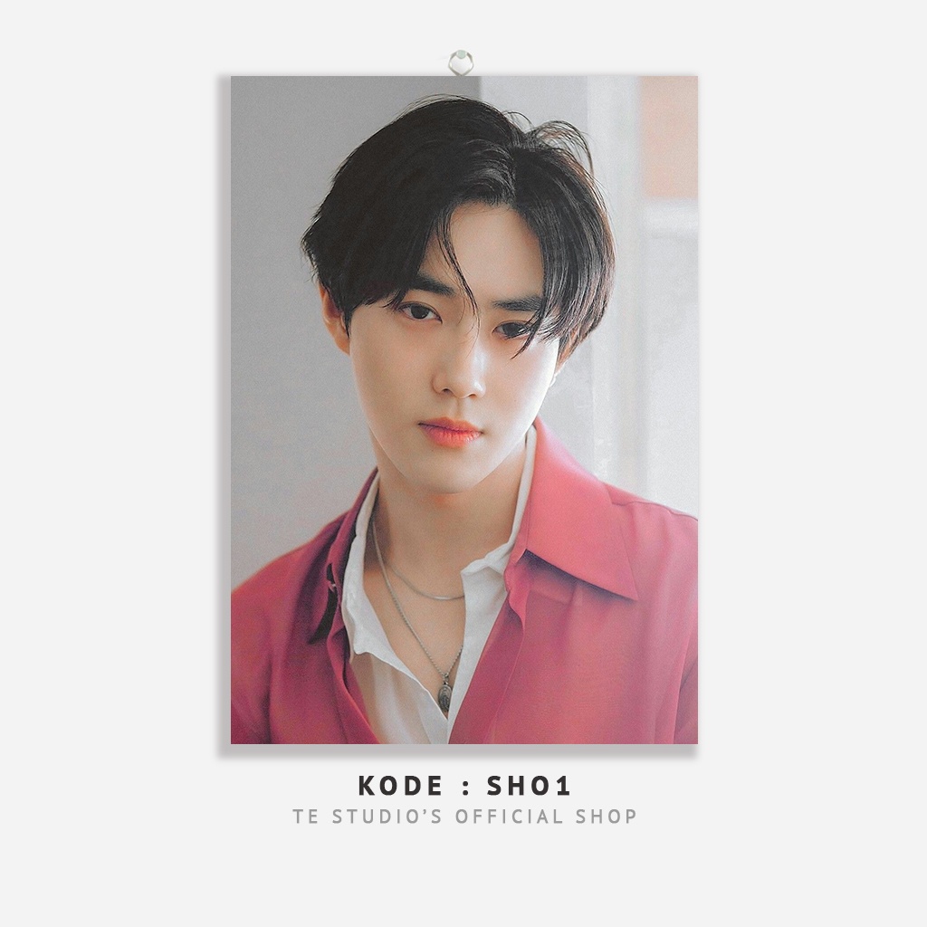 Jual Poster Suho EXO Lukisan Hiasan Dinding Kim Jun-myeon Wall Decor ...