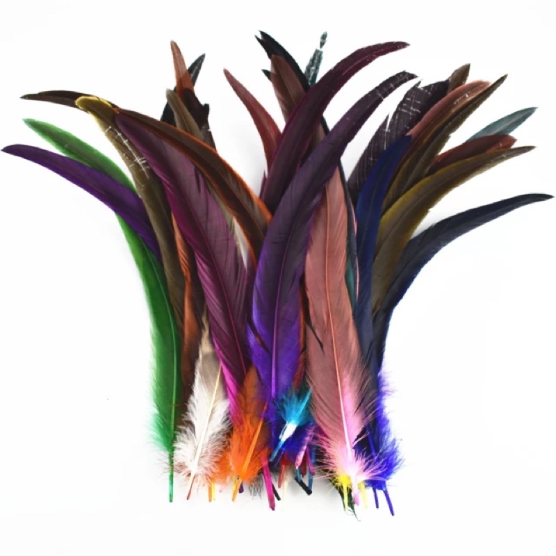 Jual 15 helai Bulu Ayam Jago Super Panjang 25cm - Bulu Ayam - Bulu ayam ...