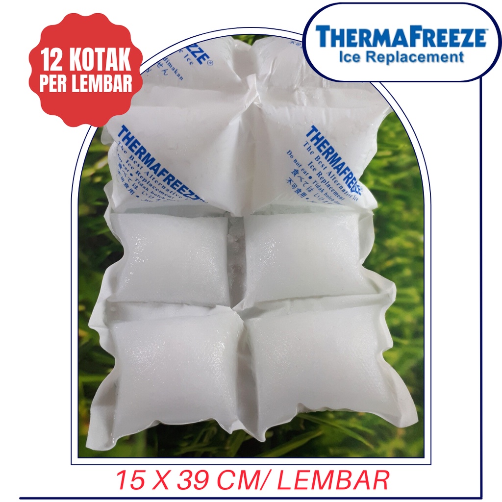 Jual ICE PACK LEMBARAN / FUNGSI THERMAFREEZE / PENDINGIN DAGING / BISA ...