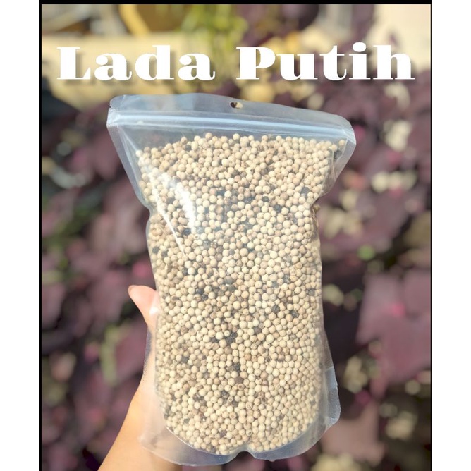 Jual Lada Putih/ Sahang Putih 200 gram, 100 gram (Entikong, Kalimantan ...