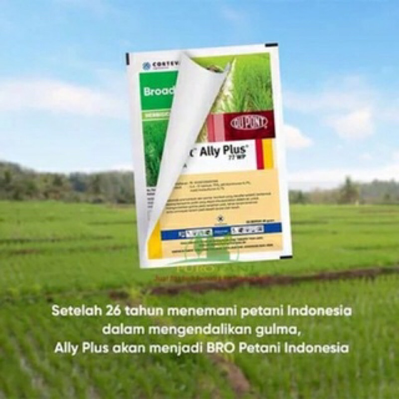Jual Herbisida Ally plus/Broad plus Rumput Gulma | Shopee Indonesia