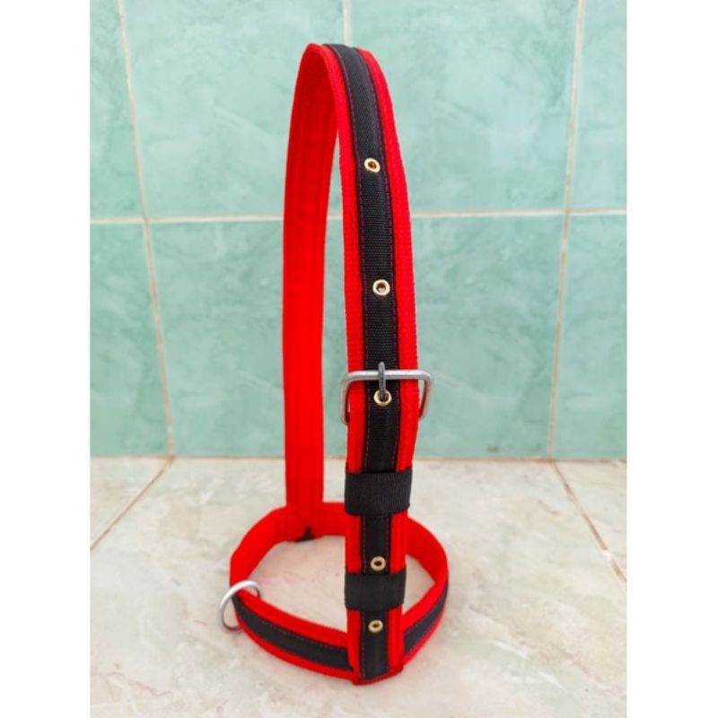 Jual HEAD HALTER IKAT KEPALA BRANGUS BACOK SAPI, KERBAU, PRODUK ...