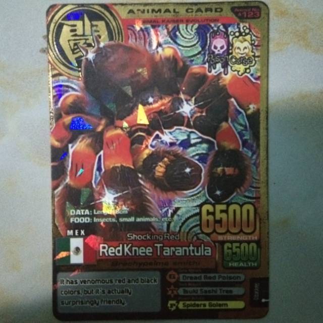 Jual Animal kaiser card redknee tarantula (gold card) | Shopee Indonesia
