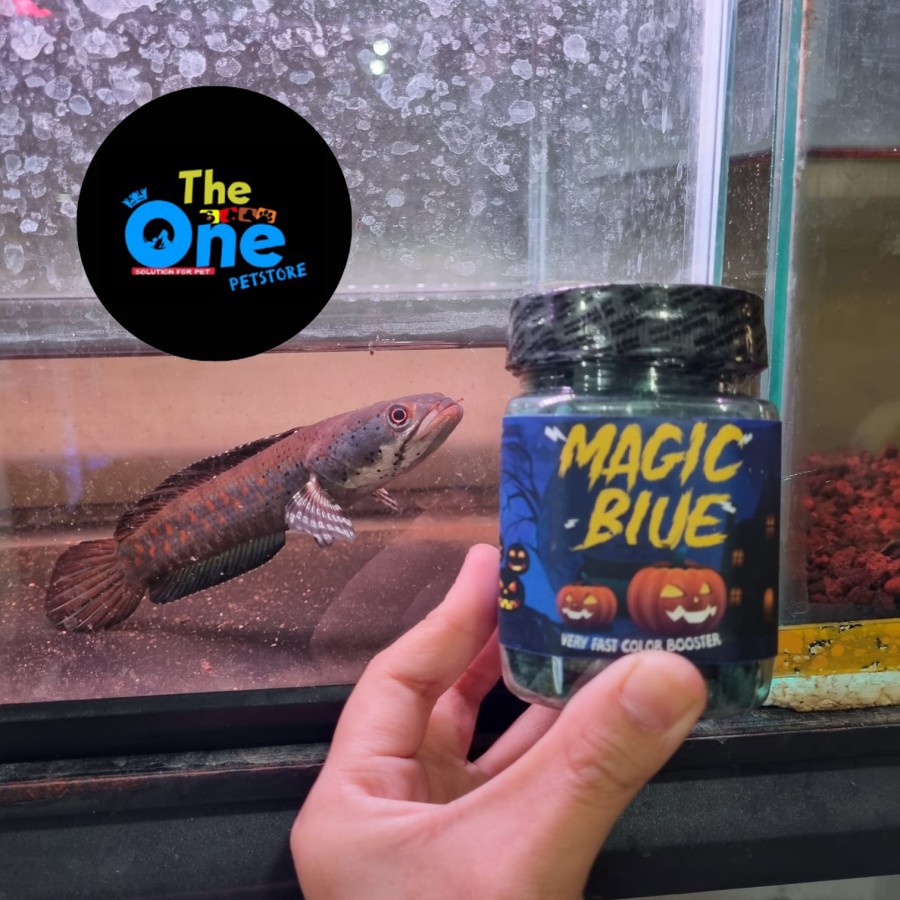 Jual MAGIC BLUE BANG FISH X FAJAR ARIEF 50gram ( pelet blue super ...