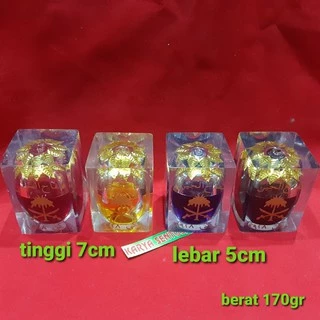 Jual Apel Jin Terlengkap & Harga Terbaru Desember 2025 | Shopee Indonesia
